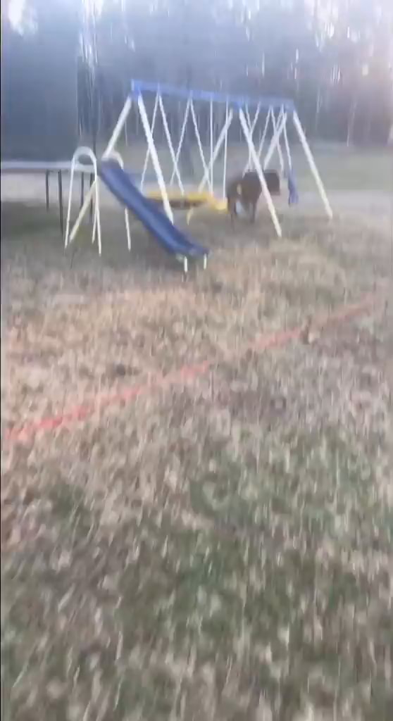 Video memes WazXN1EOA by THE_PSYCHO_WOLF_: 1 comment - iFunny