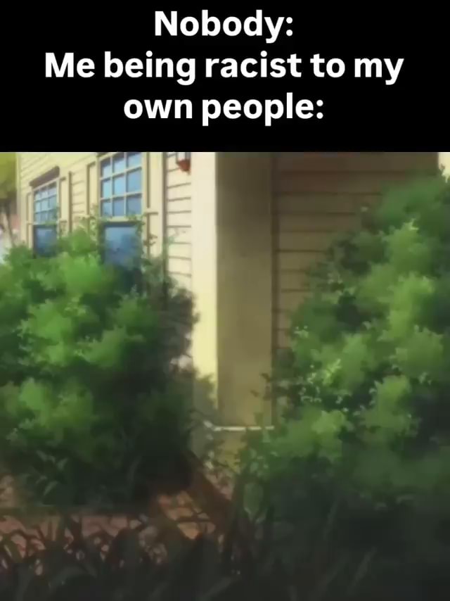 Nobody: Me being racist to my own people: - iFunny