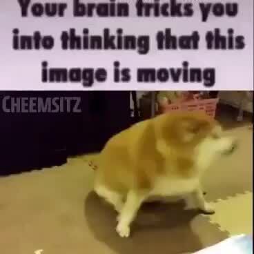 Amazing Optical Illusion - Your Brain tricks you into thinking that ...