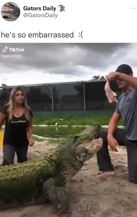 Gators Daily he's so embarrassed - iFunny