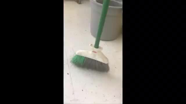 Real Life Sweeper from Baldi’s Basics - iFunny