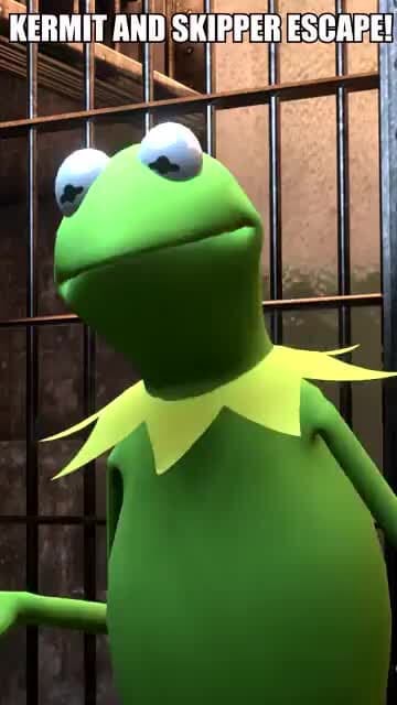 KERMIT AND SKIPPER ESCAPE! I - iFunny