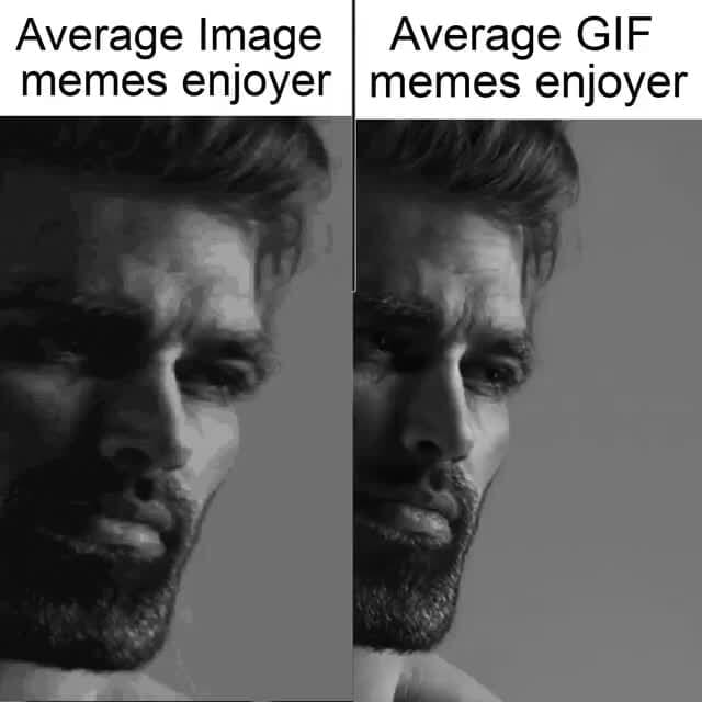 Average Image memes enjoyer Average GIF memes enjoyer - iFunny