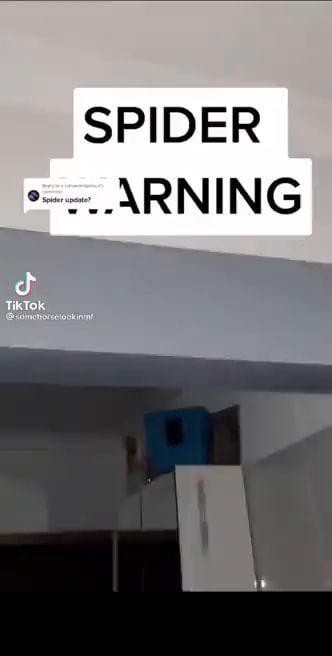 SPIDER ARNING - iFunny
