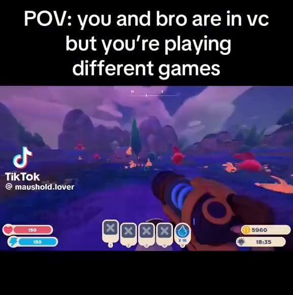 POV: you and bro are in vc but you're playing different games TikTok ...