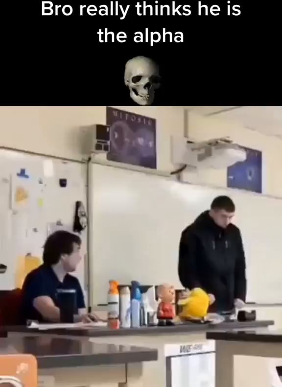 Bro really thinks he is the alpha - iFunny