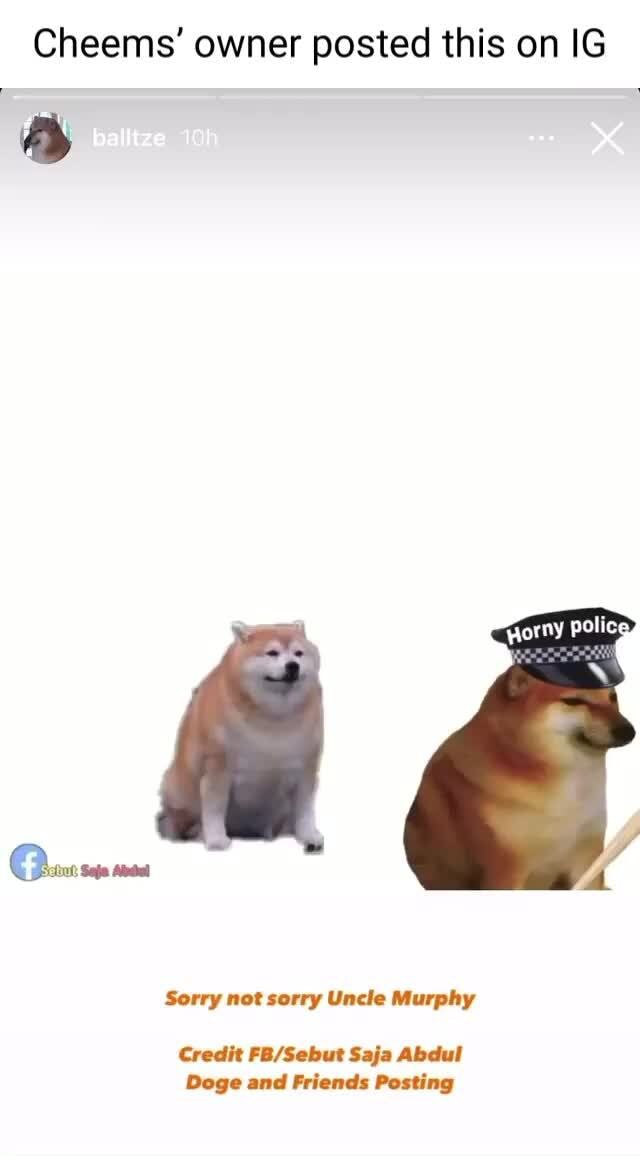 Cheems' owner posted this on IG Sorry not sorry Uncle Murphy Credit ...