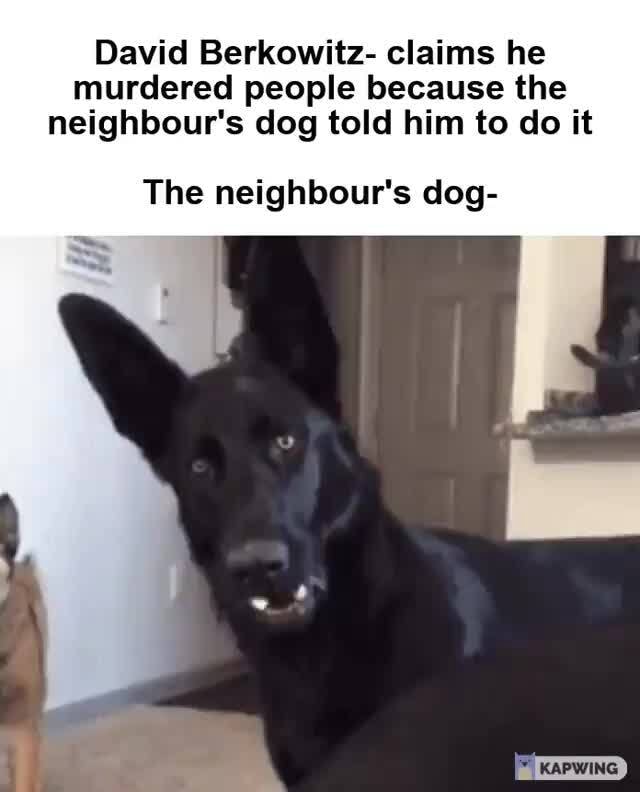 David Berkowitz- claims he murdered people because the neighbour's dog ...