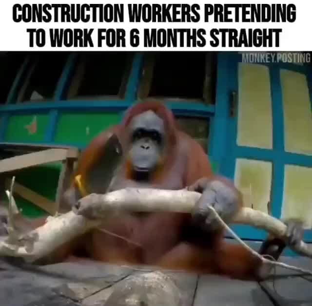 CONSTRUCTION WORKERS PRETENDING TO WORK FOR 6 MONTHS STRAIGHT MONKEY ...