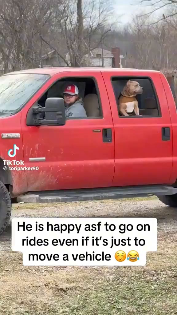 Tik toriparker90 He is happy asf to go on rides even if it's just to ...