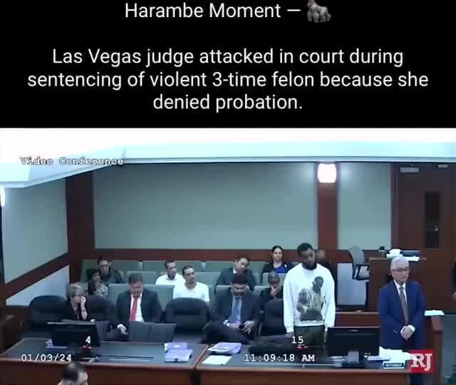 Harambe Moment Las Vegas judge attacked in court during sentencing of violent 3-time felon ...