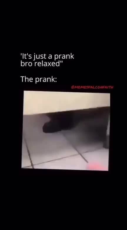 'It's just a prank bro relaxed" @MEMESFALCONEAITH The prank: - iFunny