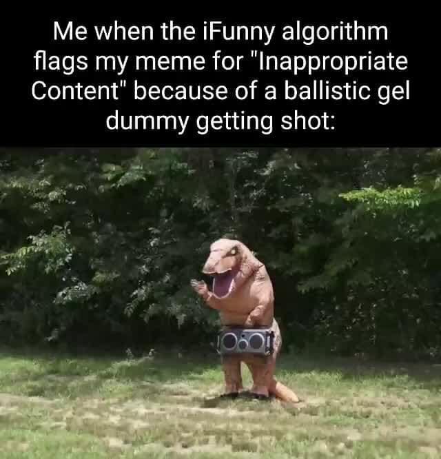 Me when the iFunny algorithm flags my meme for "Inappropriate Content ...