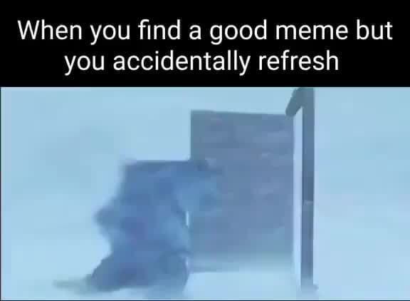 When you find a good meme but you accidentally refresh - iFunny