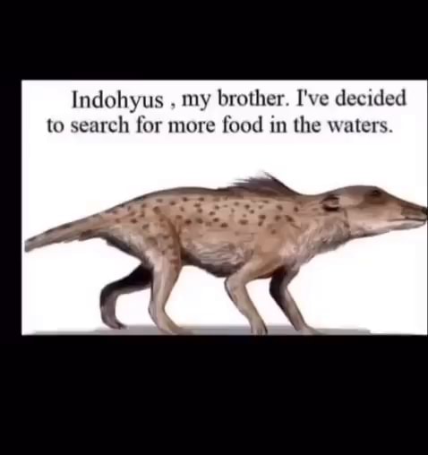 Indohyus , my brother. I've decided to search for more food in the ...