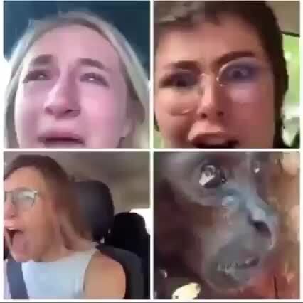 Monkey do be spitting facts tho - iFunny