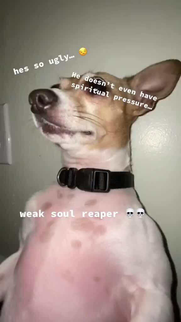 Weak soul reaper - iFunny