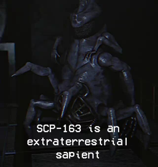 SCP-163 is an extraterrestrial sapient - iFunny