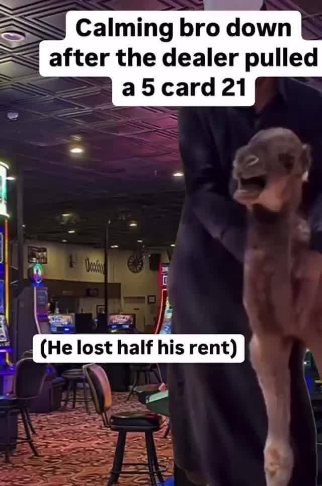 Calming bro down after the dealer pulled card 21 (He lost half his rent ...