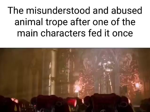 The misunderstood and abused animal trope after one of the main ...