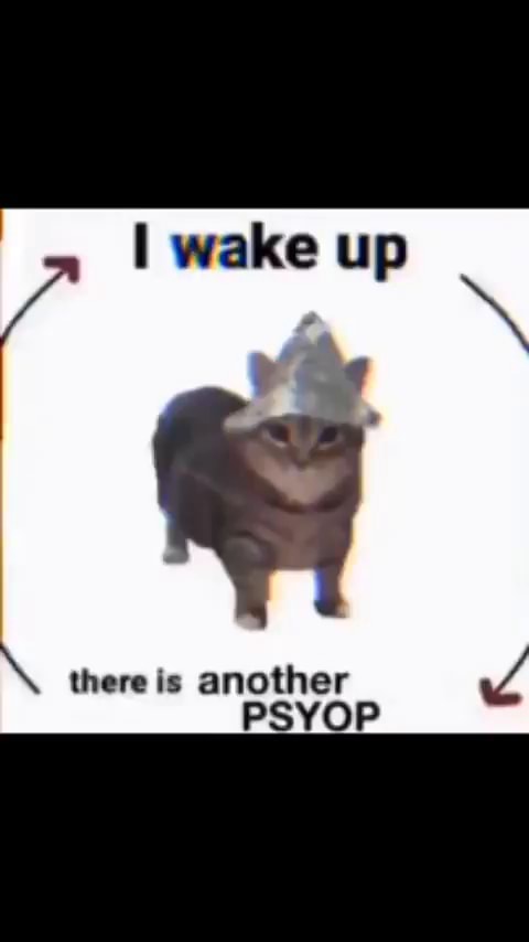 Wake up there is another PSYO - iFunny