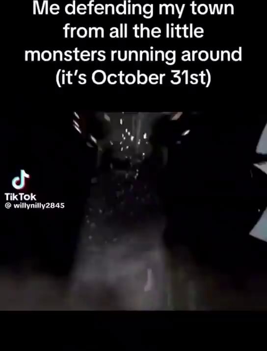 Me defending my town from all the little monsters running around (it's ...