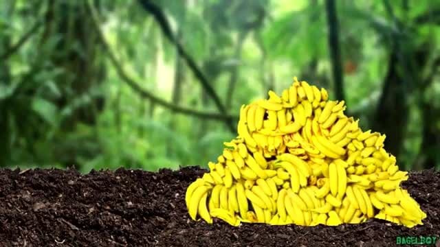 APE CUBE APE CUBE - iFunny