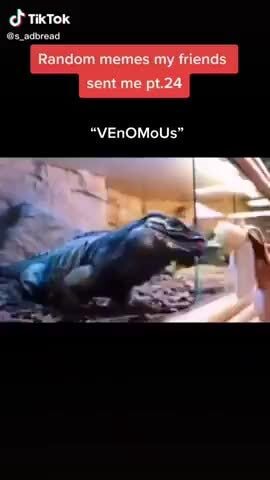 TikTok Random memes my friends sent me pt.24 "VEnOMoUs" SS - iFunny