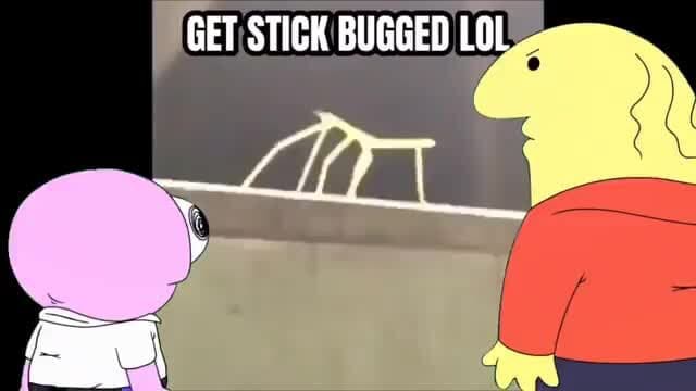 GET STICK BUGGED LOL - iFunny