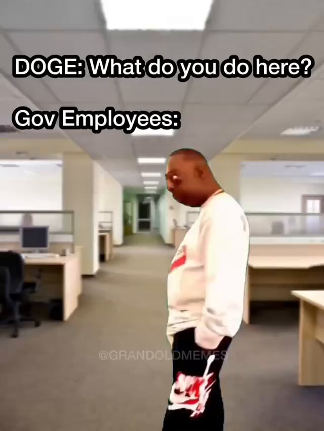 DOGE: What do you do here? Gov Employees: - iFunny