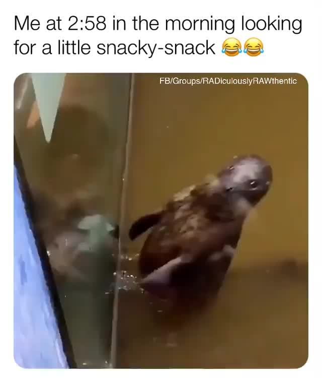Me at 2:58 in the morning looking for a little snacky-snack ©© - iFunny