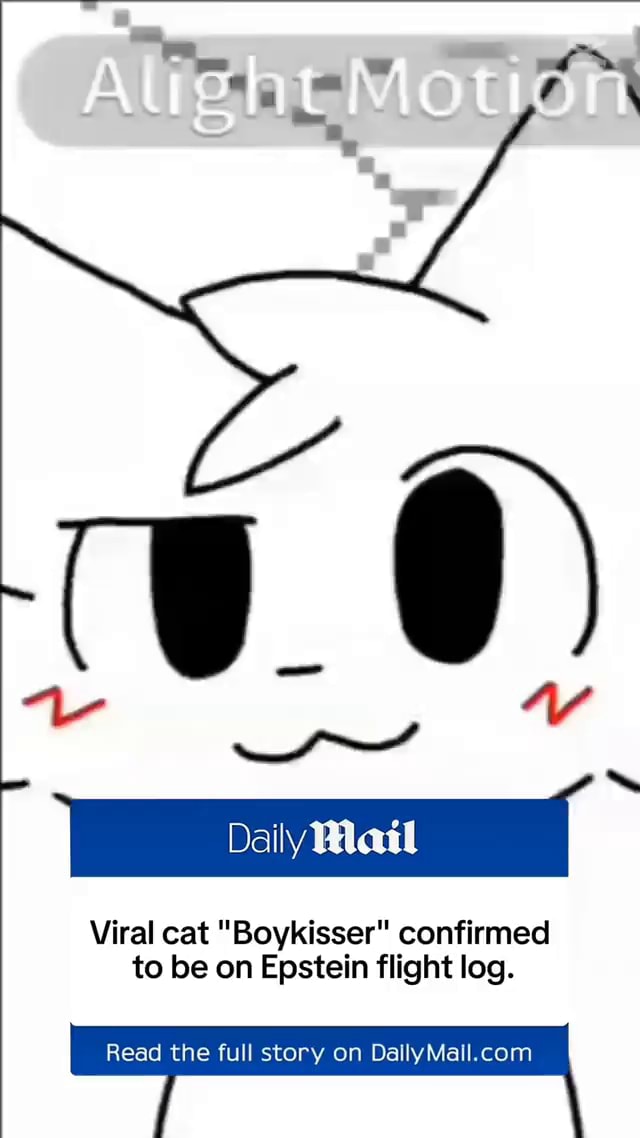 Daily ail Viral cat "Boykisser"" confirmed to be on Epstein flight log ...