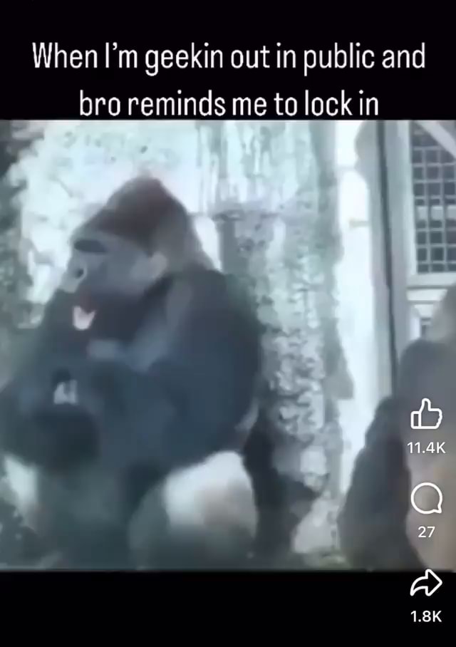 When I'm geekin out in public and bro reminds me to lock in 1.8K - iFunny