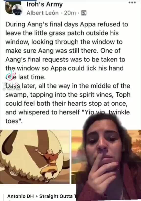 We lroh's Army Albert Leon - During Aang's final days Appa refused to ...