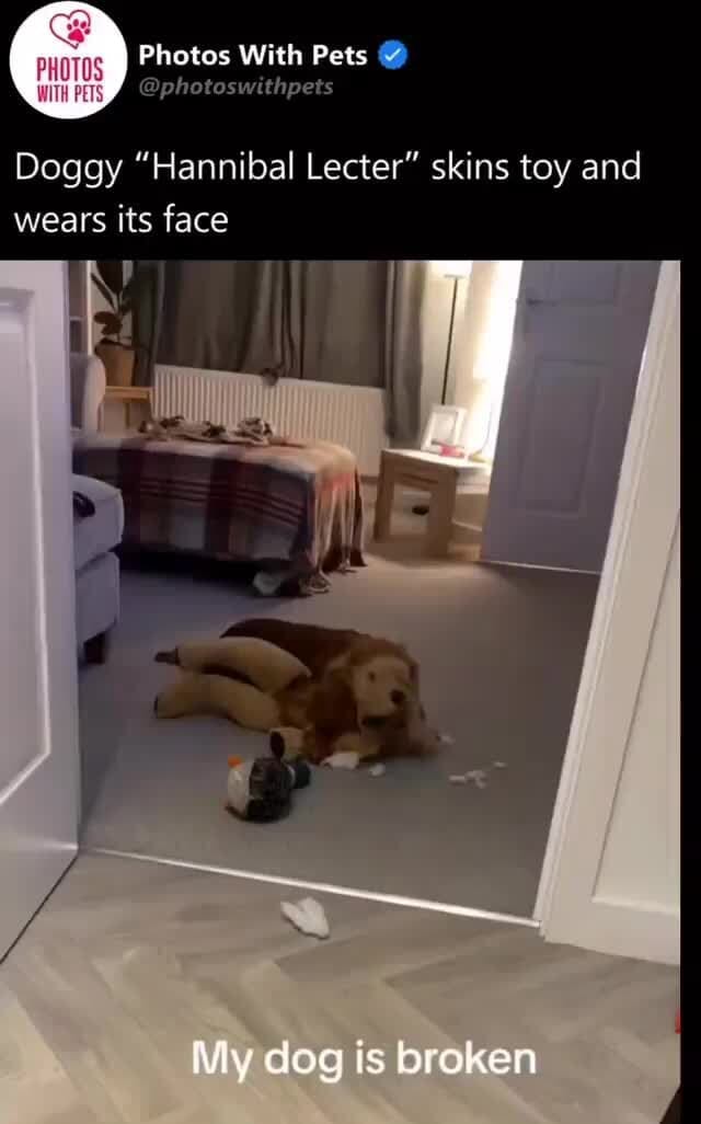 Photos With Pets Doggy "Hannibal Lecter" skins toy and wears its face ...