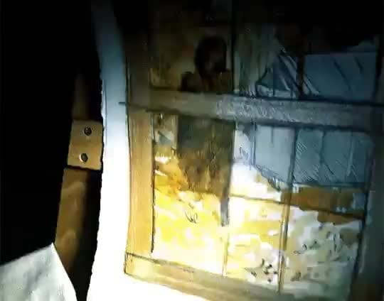 Daily Movie ‘The Taking of Debra Logan’ - iFunny