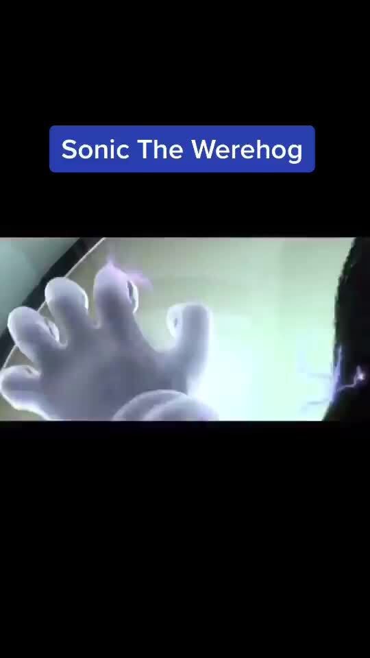 Sonic The Werehog - iFunny