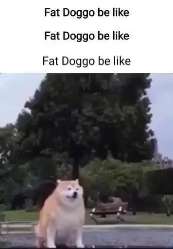 Fat Doggo be like Fat Doggo be like Fat Doggo be like - iFunny