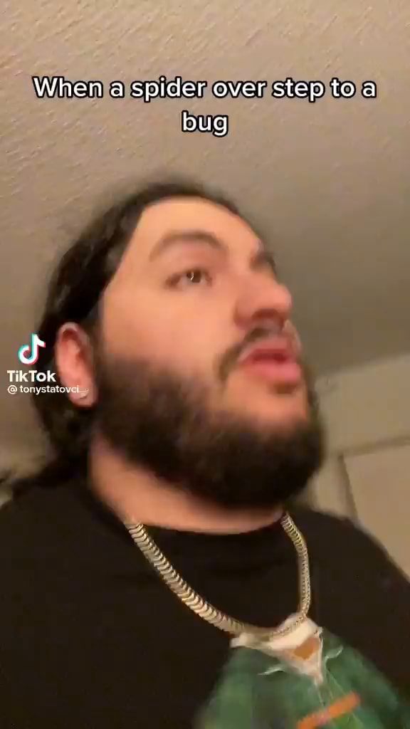 When a spider over step to a bug TikTOk - iFunny