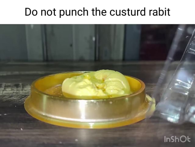 Do not punch the custurd rabit - iFunny