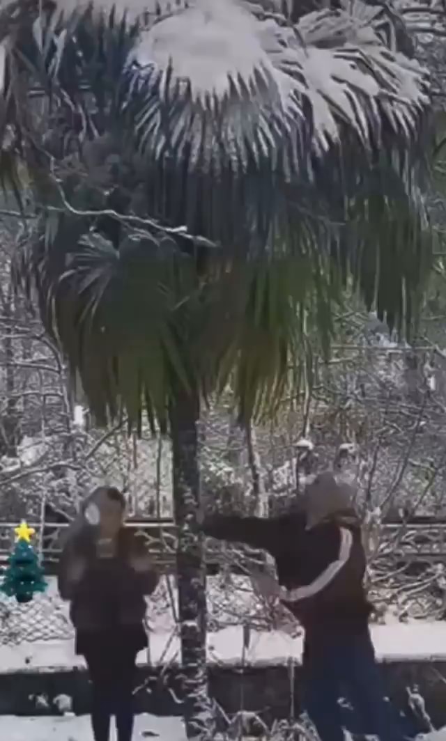 Video memes 8yGygG42C by IamSmegmaPressspacebar: 43 comments - iFunny
