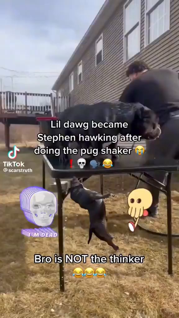 Lildawg became Stephen hawking after doing the pug shaker TikTok I ...