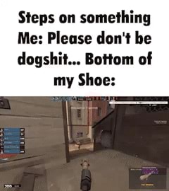 Steps on something Me: Please don't be dogshit... Bottom of my Shoe: - iFunny