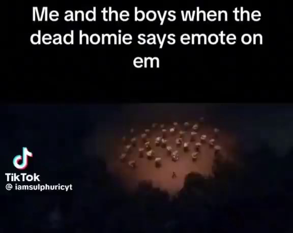 Me and the boys when the dead homie says emote on em TikTok ...