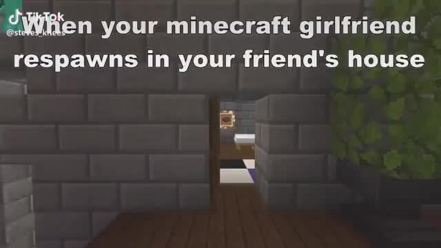 Men your minecraft girlfriend respawns in your friend's house - iFunny