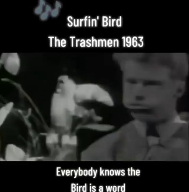 Surfin' Bird The Trashmen 1963 Everybody knows the Bird is a word ...