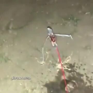 RIP Roger Roach - iFunny