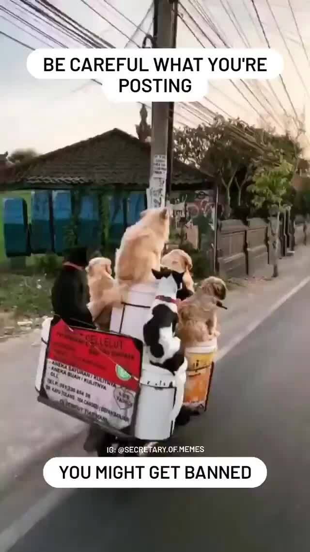 BE CAREFUL WHAT YOU'RE POSTING OF MEMES YOU MIGHT GET BANNED - iFunny