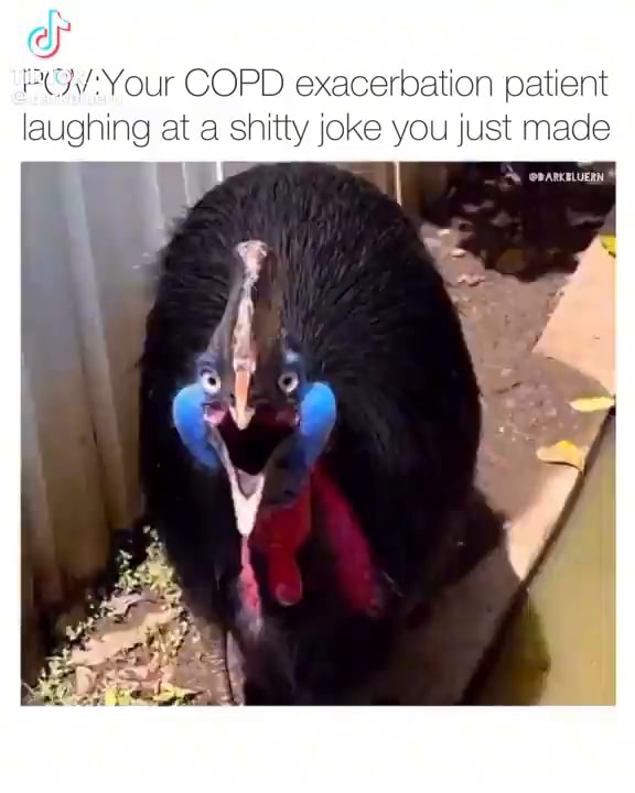 'Your COPD exacerbation patient laughing at a shitty joke you just made ...