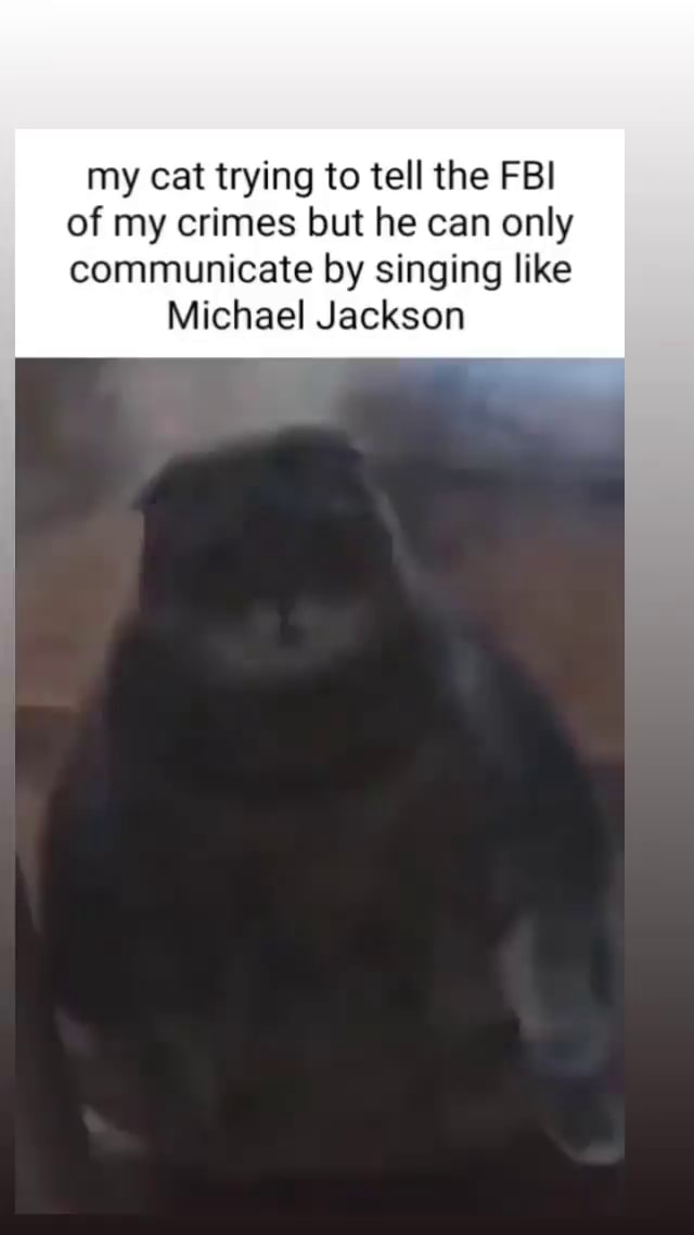 My cat trying to tell the FBI of my crimes but he can only communicate ...
